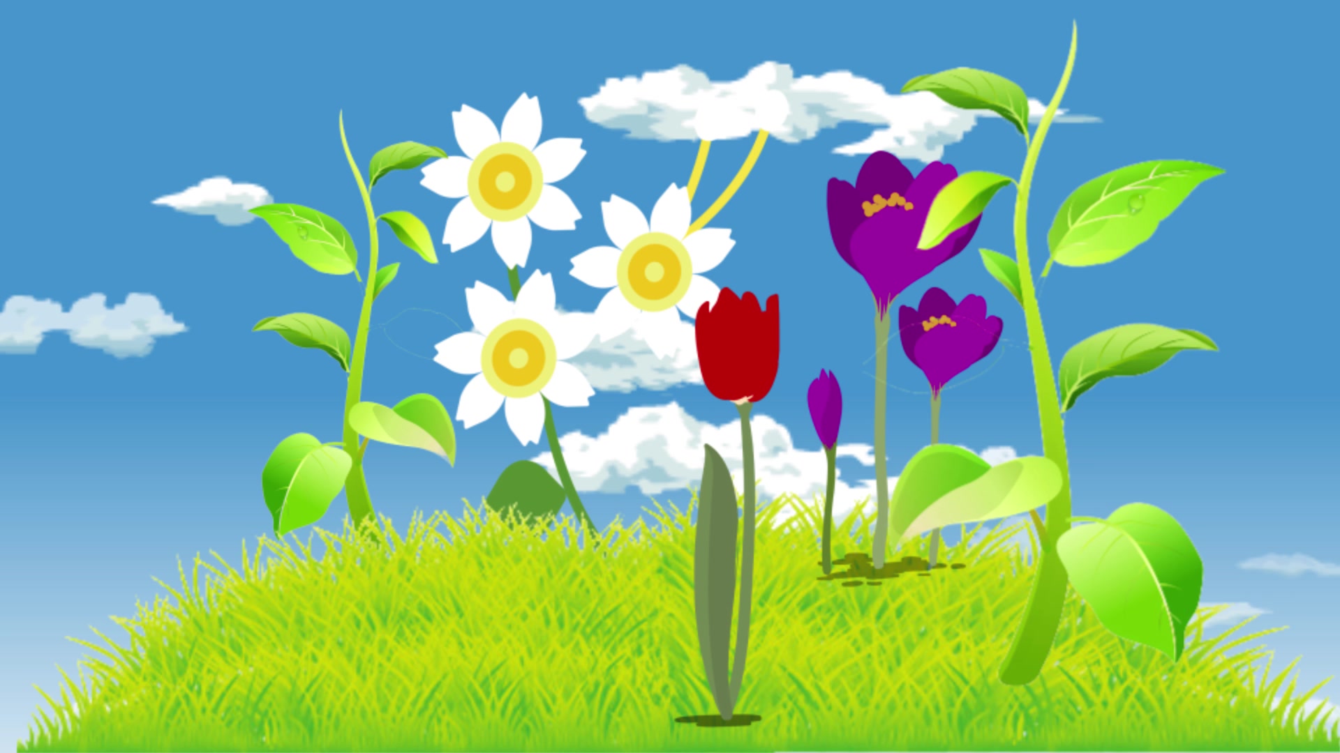 【ae动画练习】ae自制生长动画