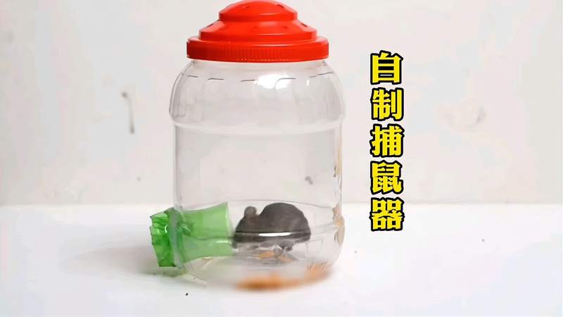 家里老鼠太多怎么办,制作一个简易捕鼠器
