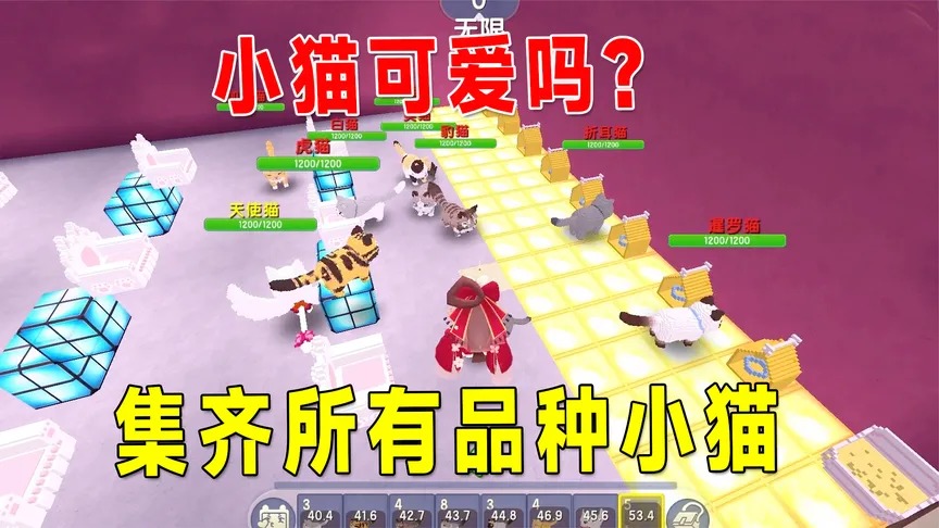 迷你世界:小宇是个爱猫人士,去猫舍没有贵宾卡被无情驱赶