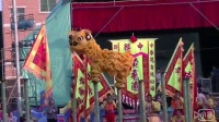 狮王之王