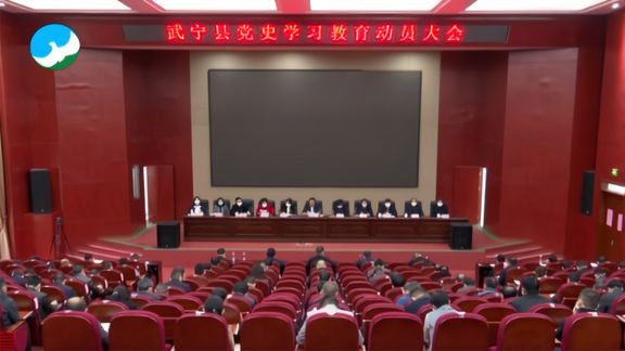 武宁县委召开全县党史学习教育动员大会