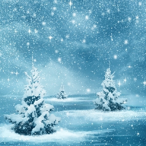 CPPM采购经理分享 