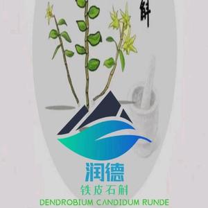 建哥哥 