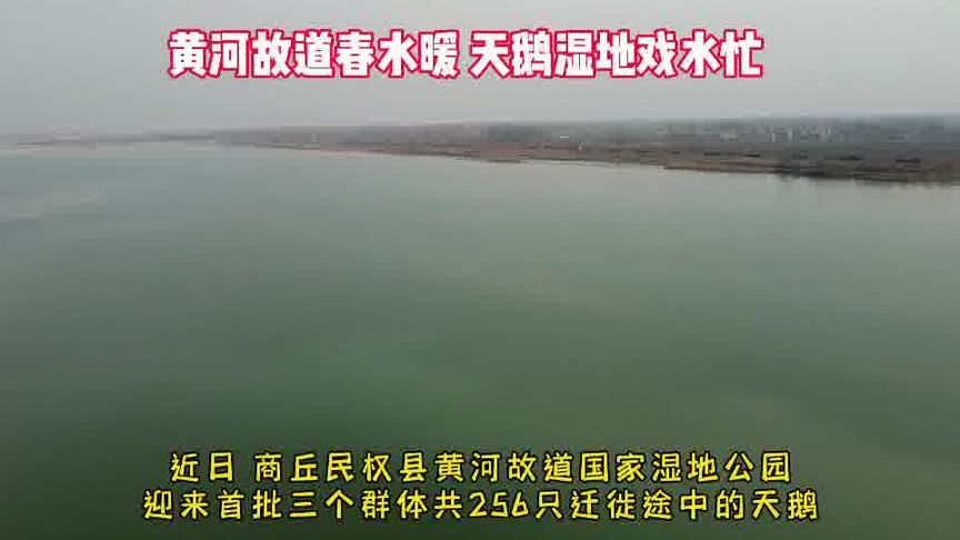联播pro:打包付费!河南医保支付重大改革