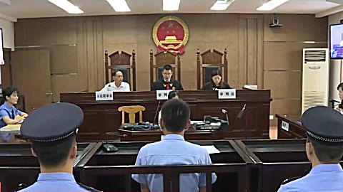 开发商为赶工期,违法私占林地,公司判罚20万负责人获刑半年