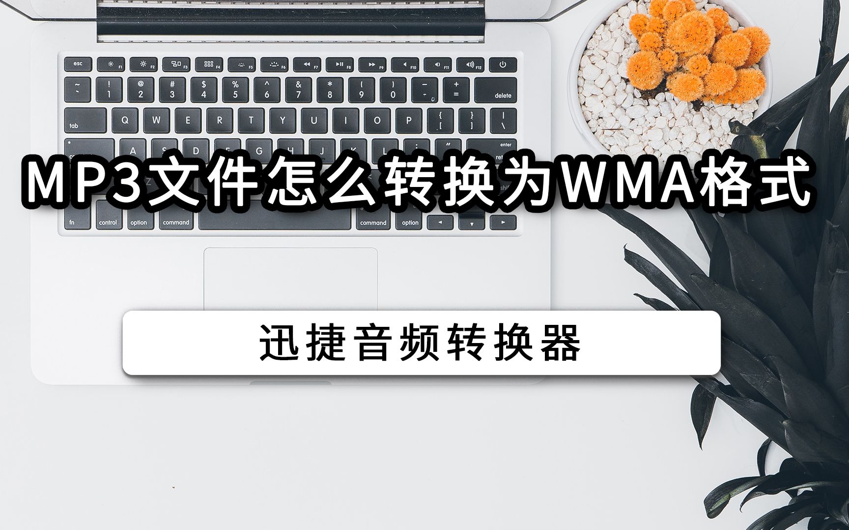 MP3文件怎么转换为WMA格式