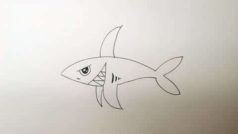 简笔画教程:十秒学会画鲨鱼