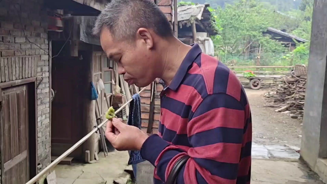 湖南洞口县罗溪国家森林公园