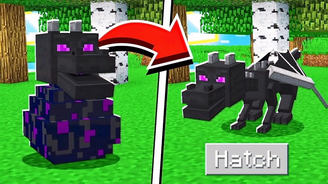 我的世界变形生存35:如何把龙蛋孵化!变身末影龙?