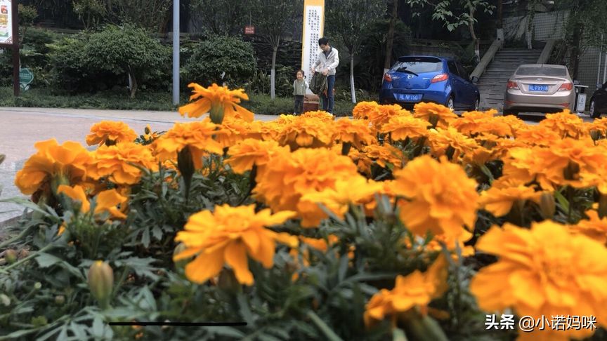 童装店办理营业执照工作人员说老门牌号不一定办理的下来2天后等