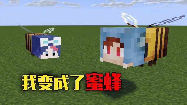我的世界:变成蜜蜂还能繁衍生息?只能采蜂蜜的MC生存!