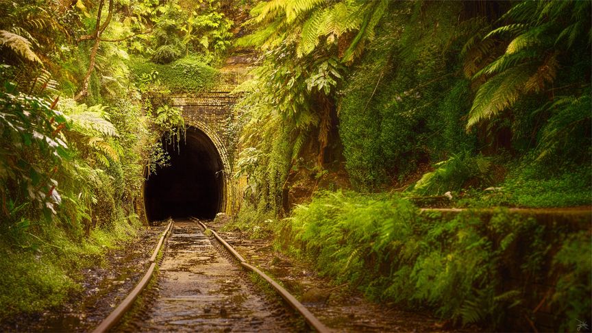 【放松轻音乐】人生价值的大小是按人们对社会贡献的大小来衡量的