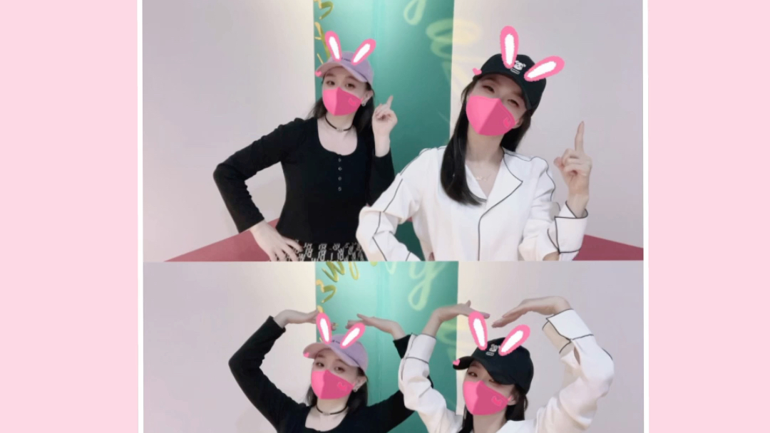 Newboy-房东的猫 手势舞