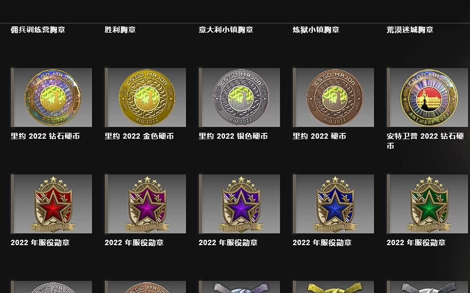 试玩一个CSGO库存解锁器(1529)