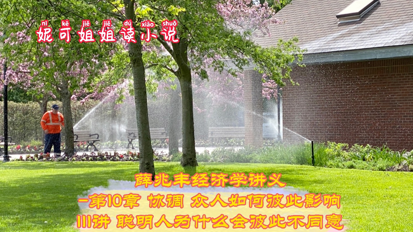 妮可姐姐读小说-薛兆丰经济学讲义-第10章111讲-聪明人为什么会彼此...