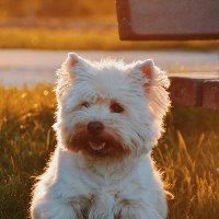 在心碎中认清遗憾 