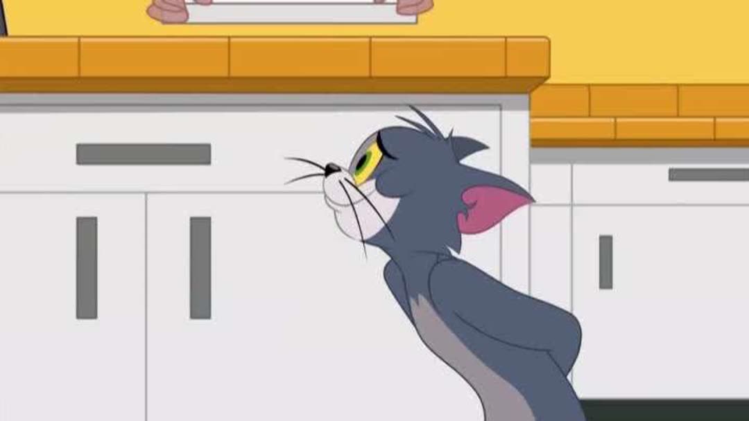 新猫和老鼠第二季 - 第40集