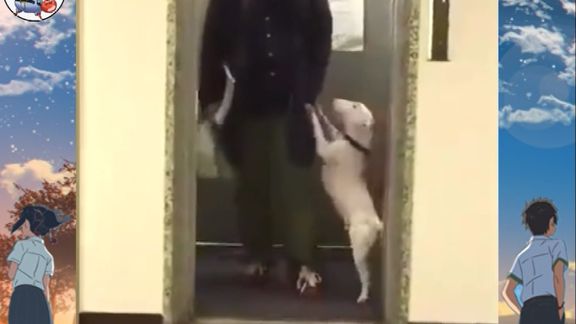 搞笑进行时:当你见到很久没见面的男朋友时