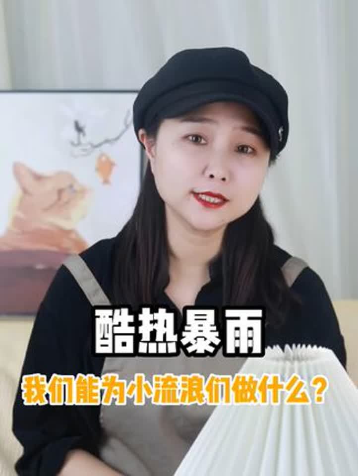 流浪动物有多可爱