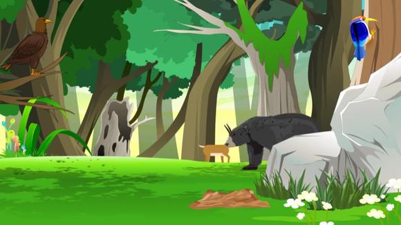 甘南州青少年野生动物保护宣传