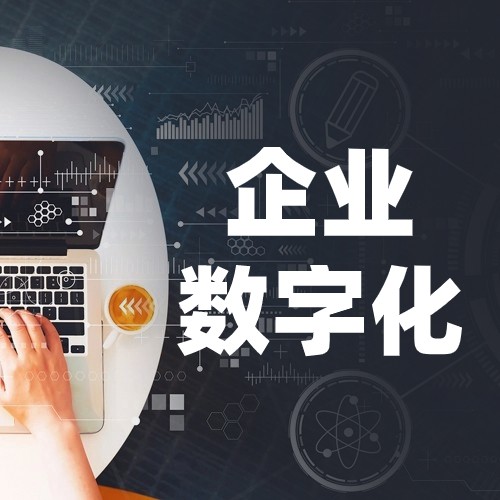 专业研发企业数字化 