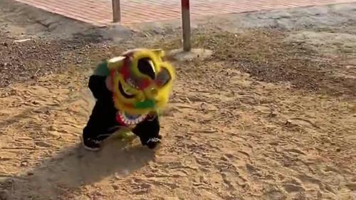 人类的幼崽有多可爱,练习舞狮动作行云流水,奶凶奶凶的样子萌化了!
