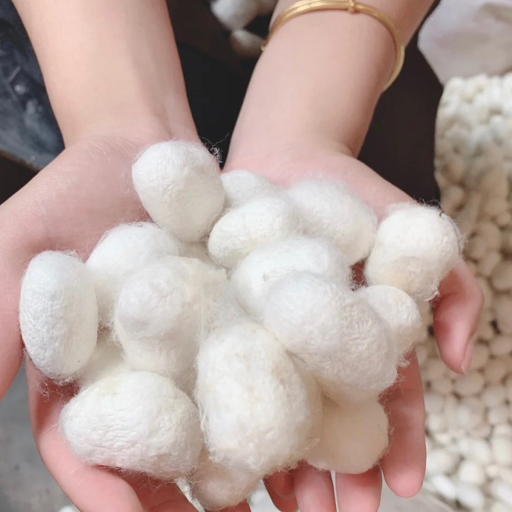 蚕姑娘桐乡手工蚕丝被 