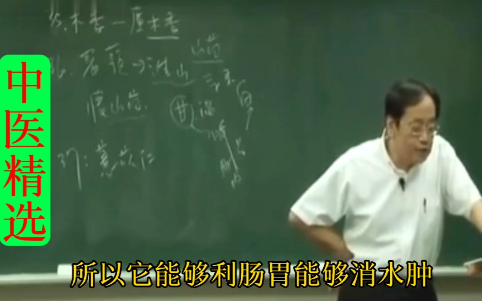 倪老师讲:薏仁的功效