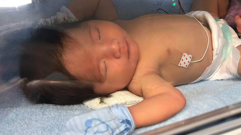 33周早产儿宝宝在保温箱里顽强求生,脆弱的生命之花终将绽放