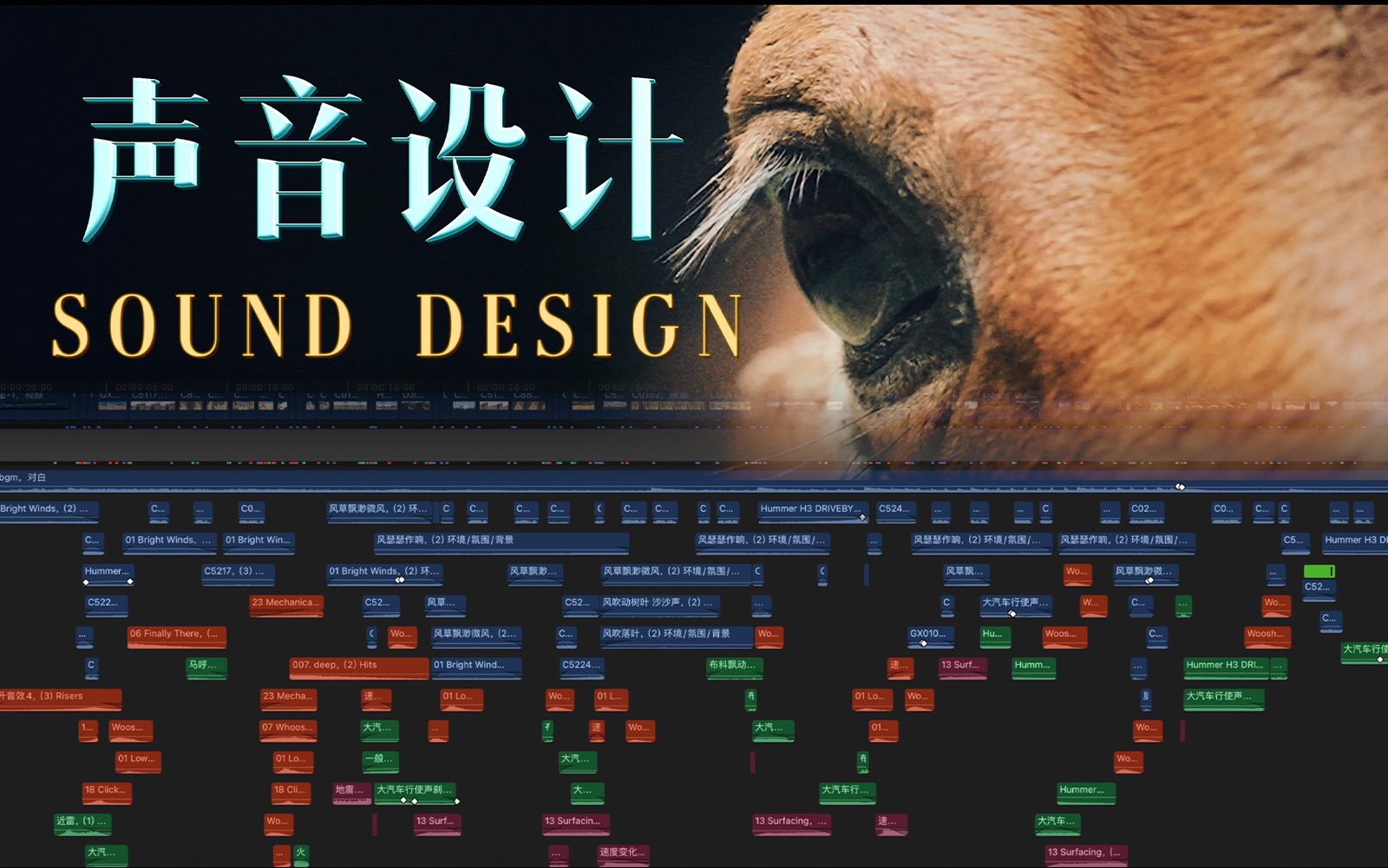 【向往,就前往 声音设计】(横屏版)