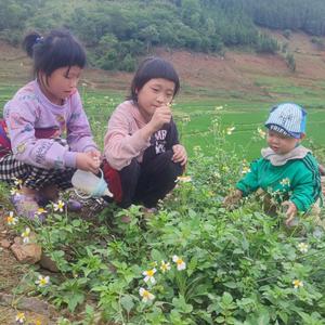 悦玲皓仨个孩子的宝妈 