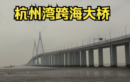带大家从桥边看杭州湾跨海大桥