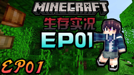 当我翻开一年前的视频【我的世界枪械生存】.EP01