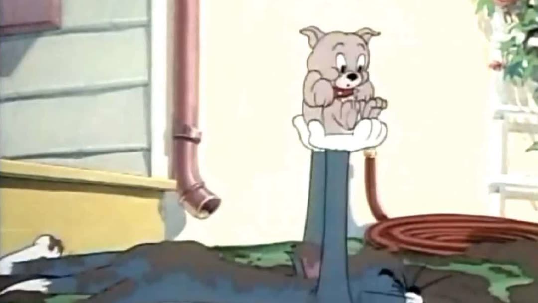 猫和老鼠最精彩片段照看小狗却被老鼠捣乱