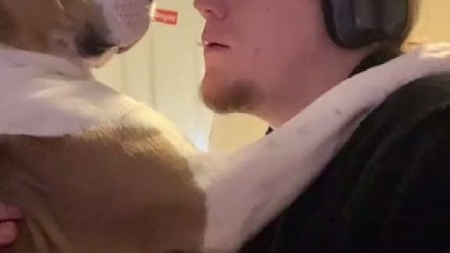 沙雕主人模仿狗狗的一举一动,最后实在是下不去嘴.