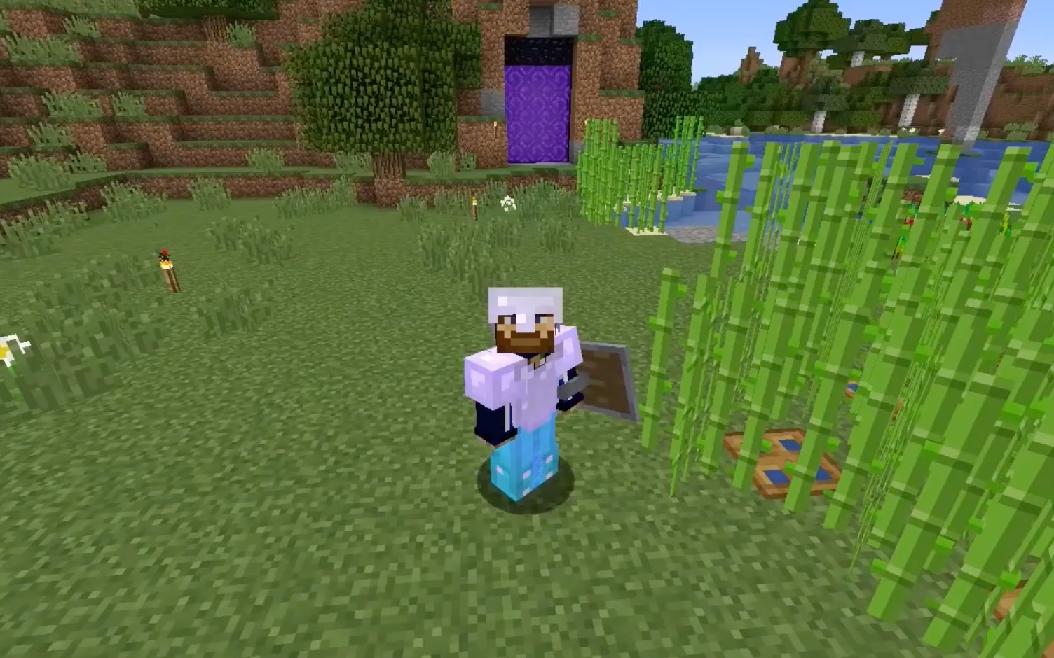 【搬运/我的世界】Pixlriffs的生存指南 - 第十六期:旗帜标记