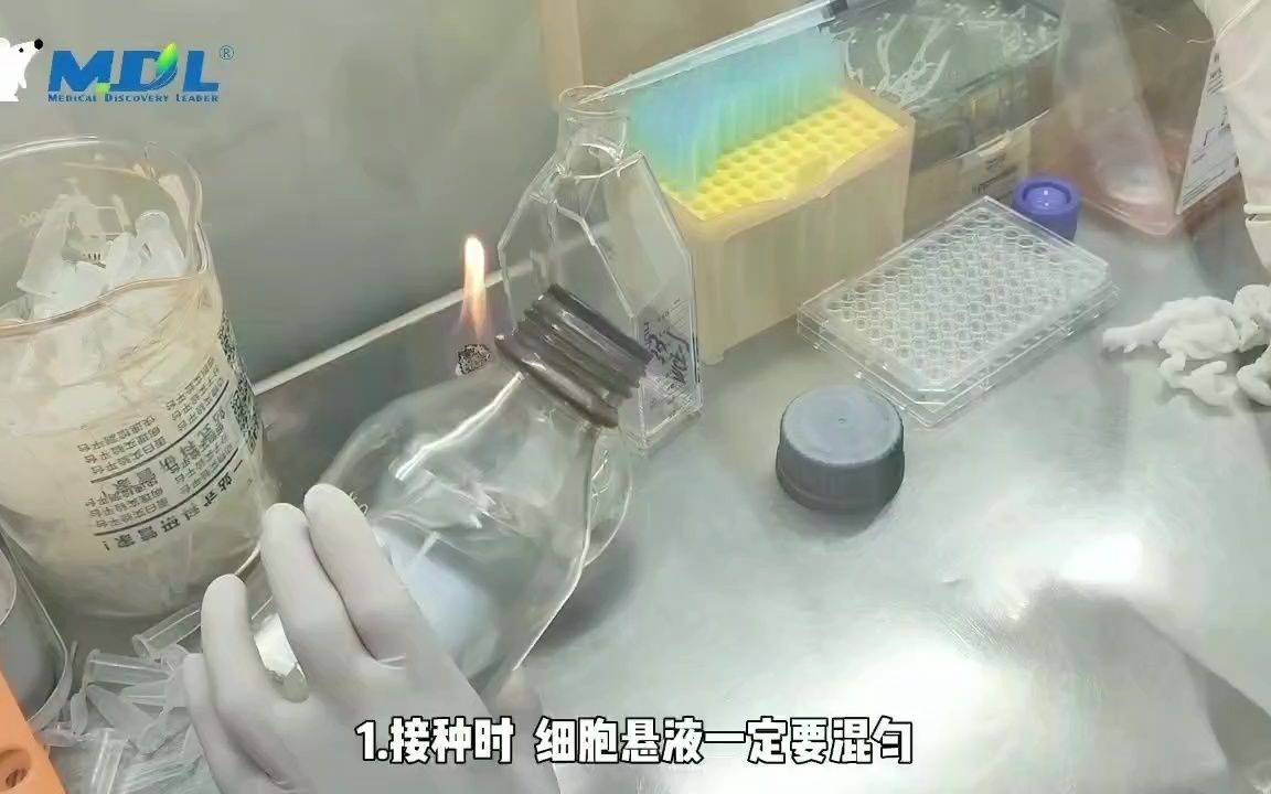 关于CCK8测定总有误差?记住以下几点,实验已经成功一大半,快来一起...