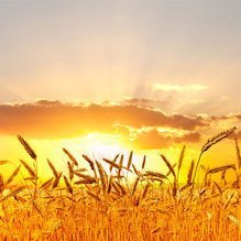 简单的抉择胜于一切 