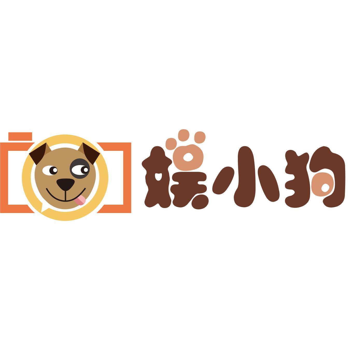 娱小狗同学 