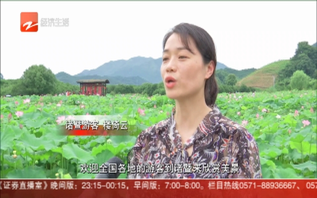 走向我们的小康生活:以“荷”为媒 杭州诸暨共享旅游资源
