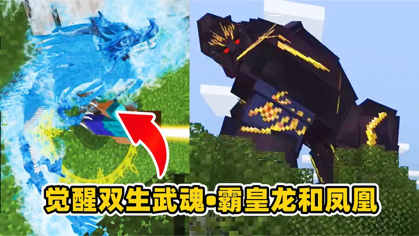 我的世界魂师之行1:双生武魂霸皇龙和冰羽凤凰,又遇泰坦巨猿!