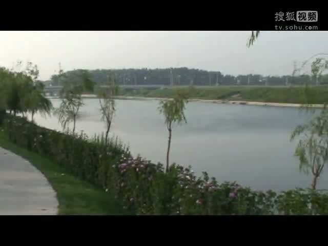 雪思嘉宠物美容师培训学校宣传片