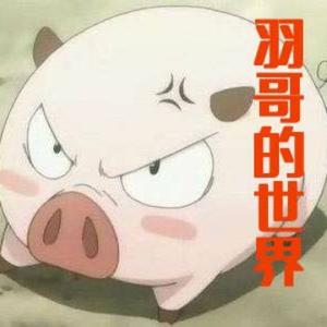 羽哥的动漫世界 