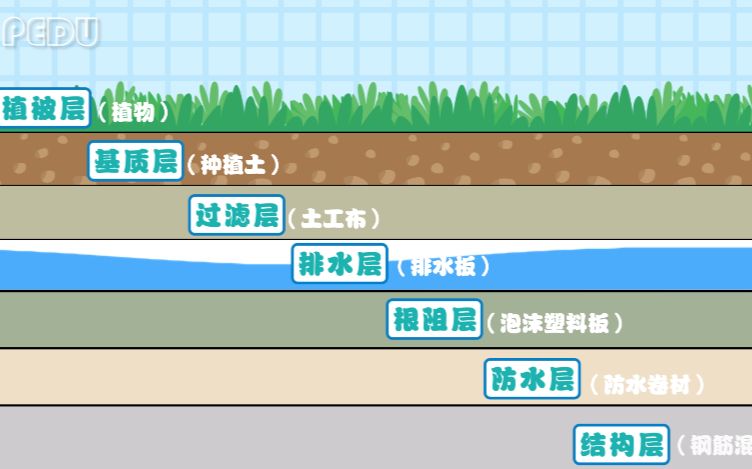 【MG动画】海绵城市—每个人都想要的绿帽子