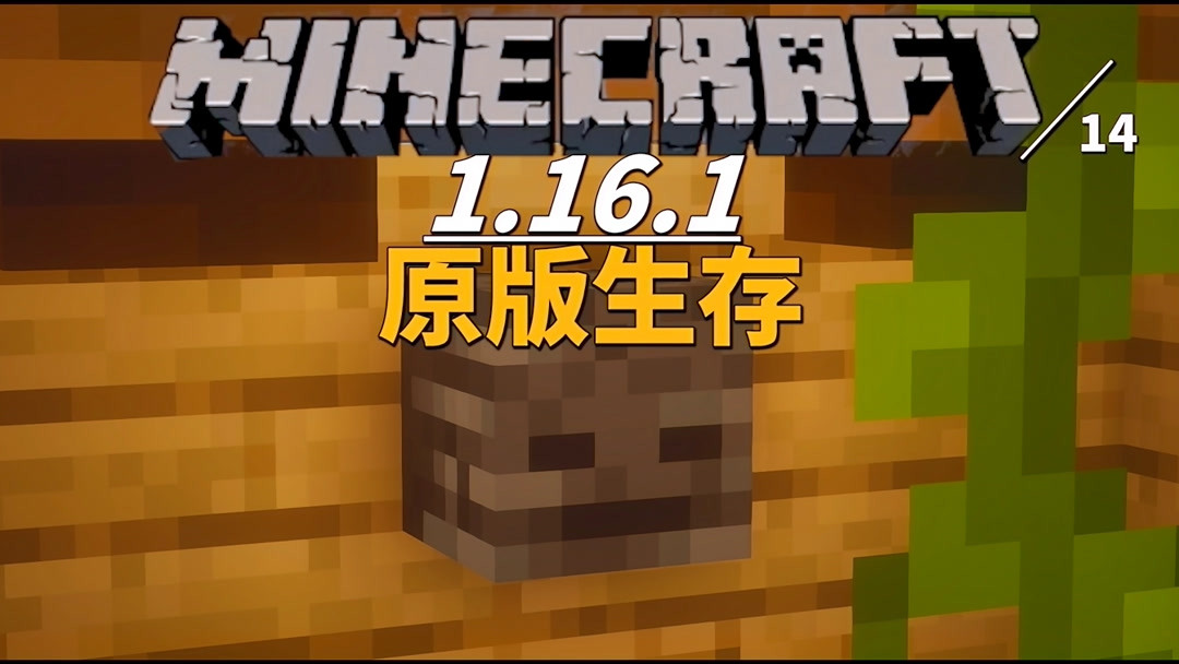 酱!打凋零骷髅头!我的世界1.16.1原版生存 &#47; 14