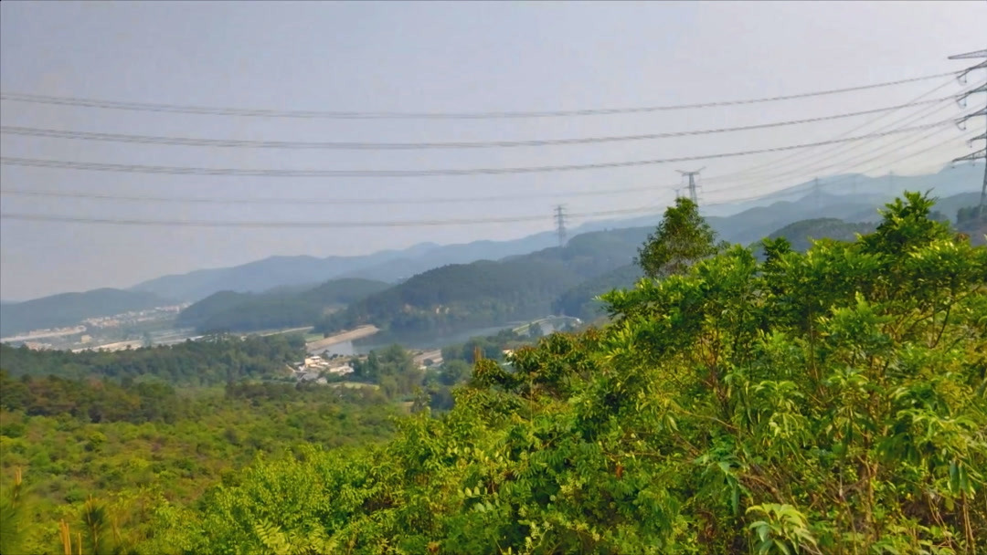 骑龙贯穴江门习俗有什么不同,风水大师寻龙点穴祖坟墓地风水宝地