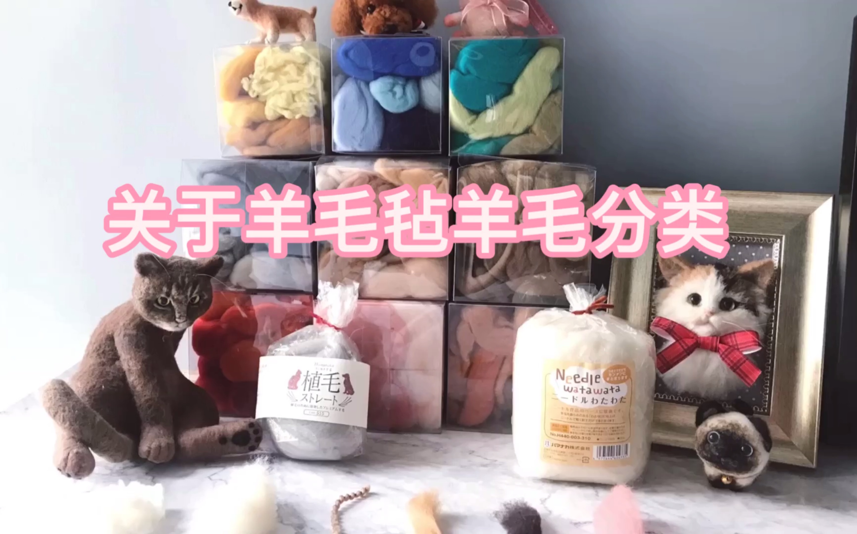 羊毛毡入门—羊毛分类