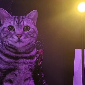 路遥的创业生活 