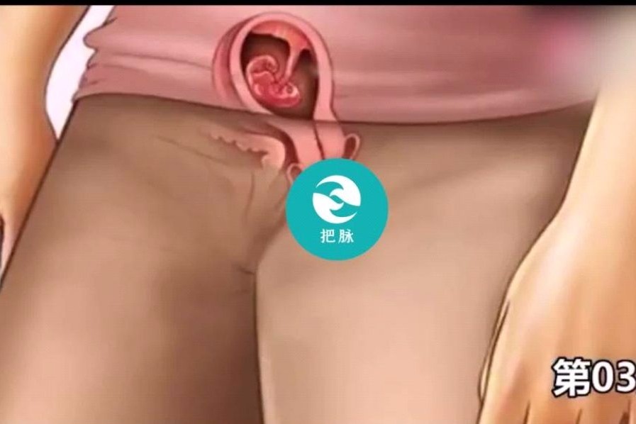 1分钟看完孕期1-40周胎儿的生长变化