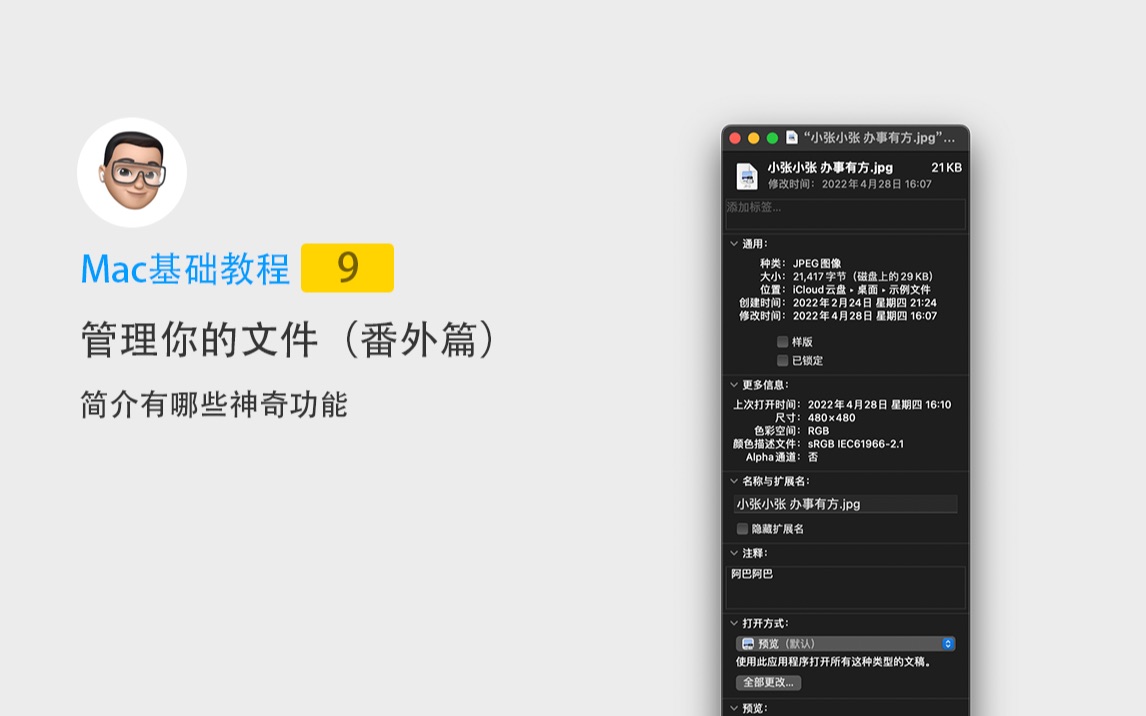 【小张的Mac基础教程】09-管理你的文件(番外篇):文件简介有哪些神奇...